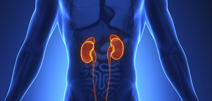 Malade “les reins” – Renal Association of Mauritius