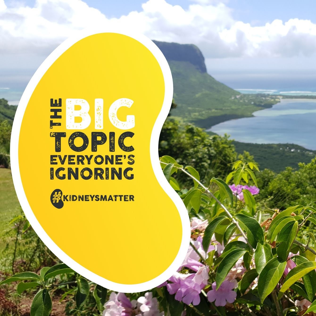 Renal Association of Mauritius