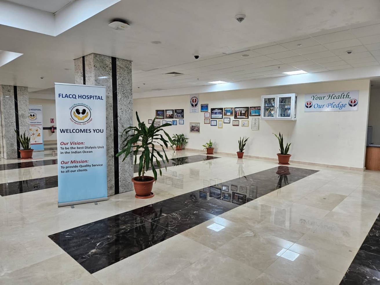 Nephrology and dialysis services in Mauritius – Renal Association of ...